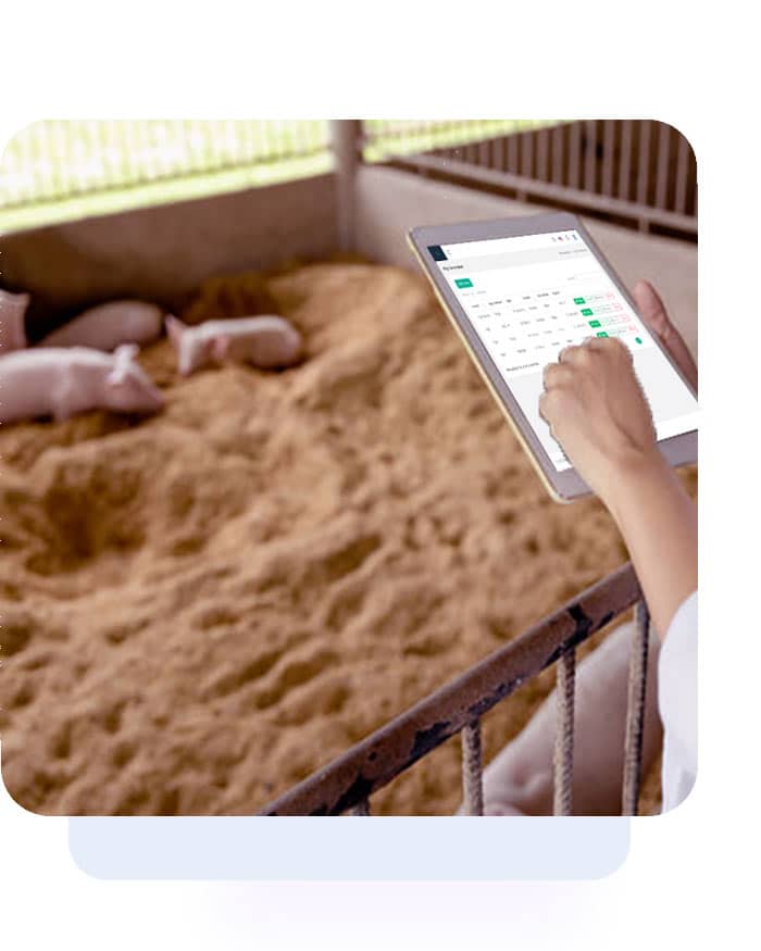 Pigax.com - Your No 1 Free Piggery Management System